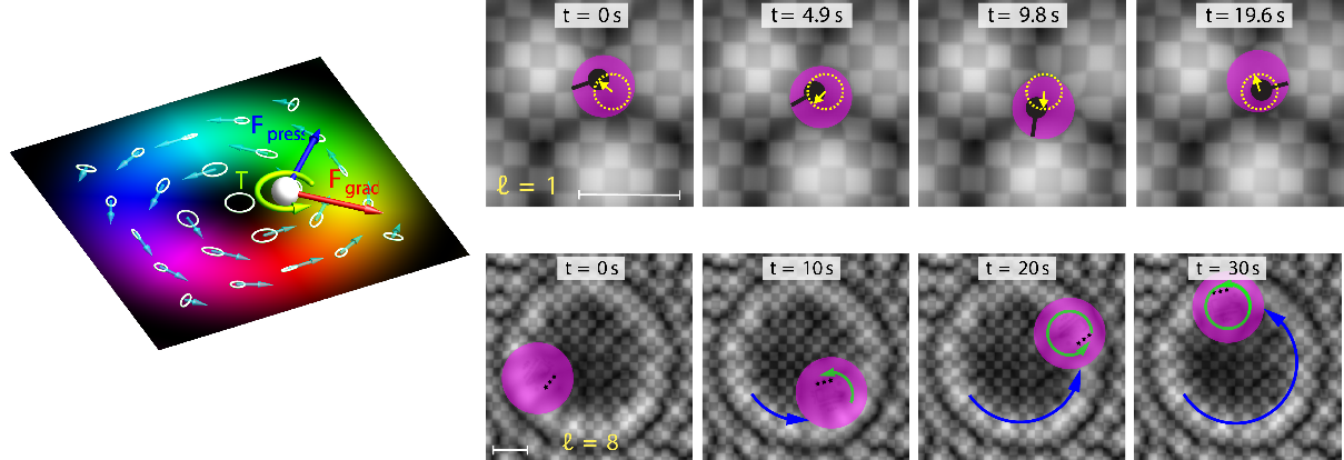 Wang Bo’s breakthrough on topological water wave structures published in Nature-河南大学国际合作与交流处暨港澳台 ...